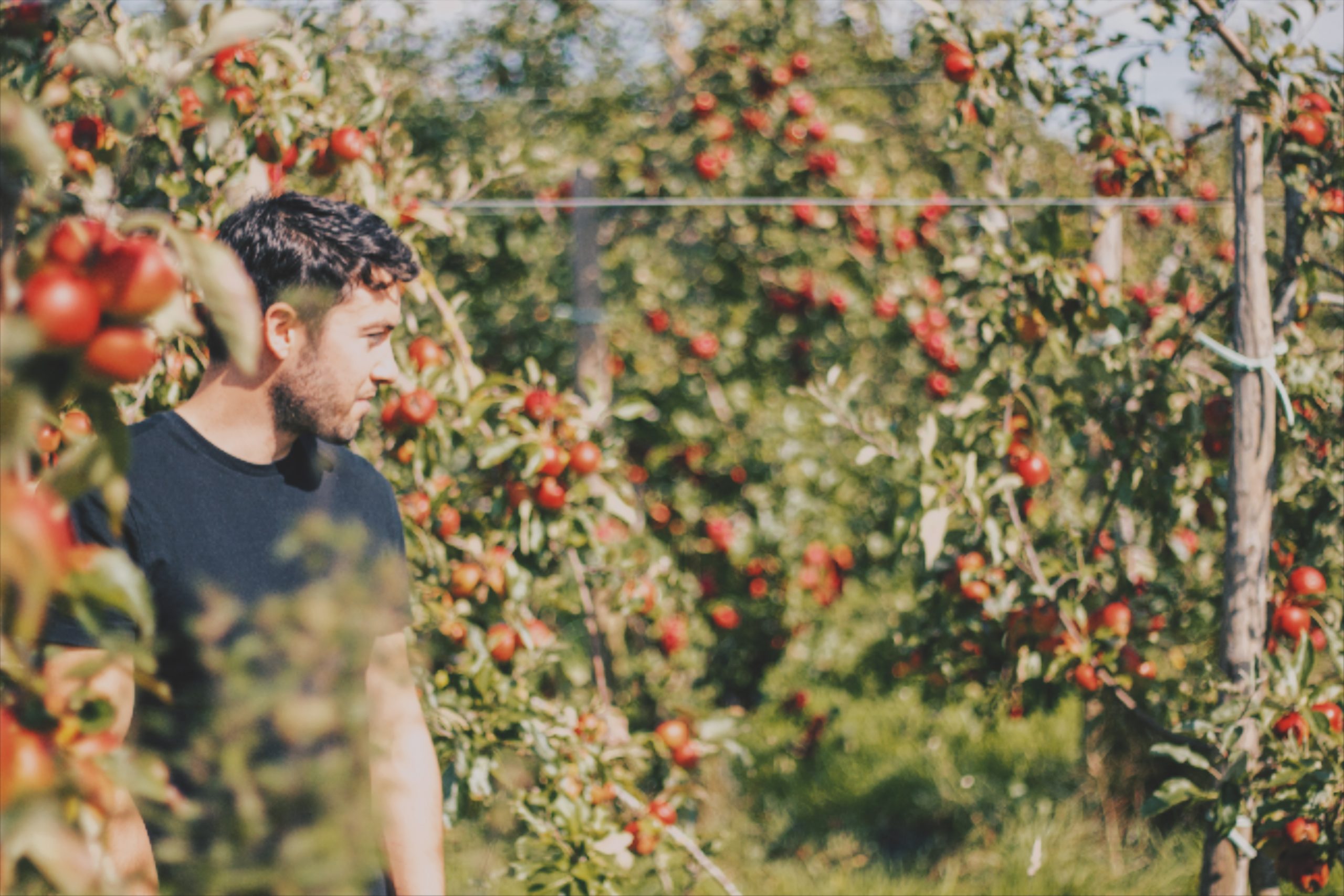 Bottling biodiversity | Tebay Services Farmshop & Kitchen